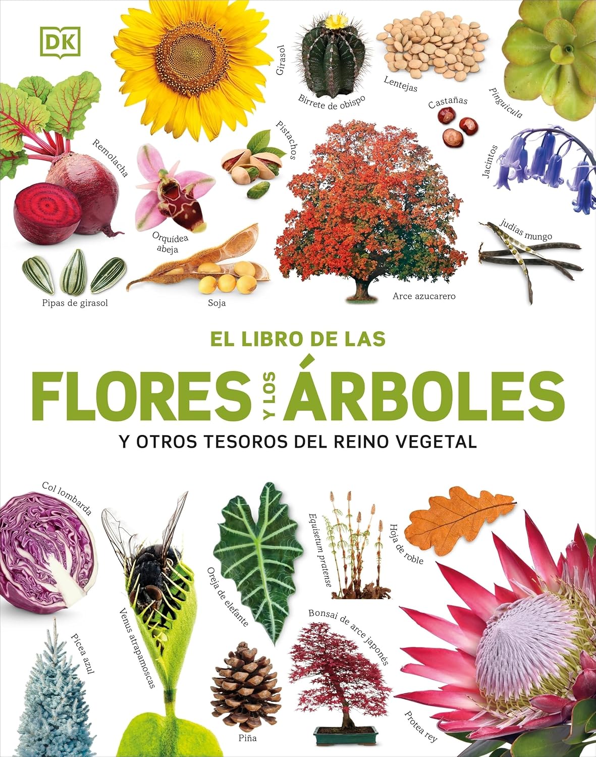 El Libro de las Flores y los Árboles (Y Otros Tesoros del Reino Vegeta ...
